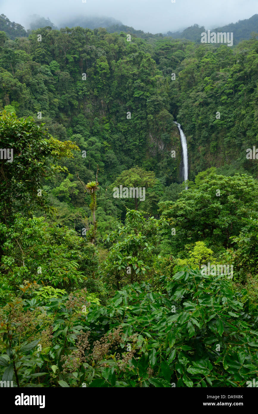 Central America, Costa Rica, waterfall, La Fortuna, fall, water, nature ...