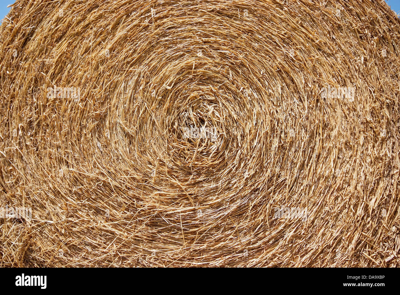 Golden straw hi-res stock photography and images - Alamy