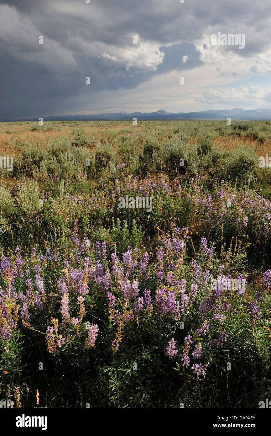 Prairie and rockies hi-res stock photography and images - Alamy