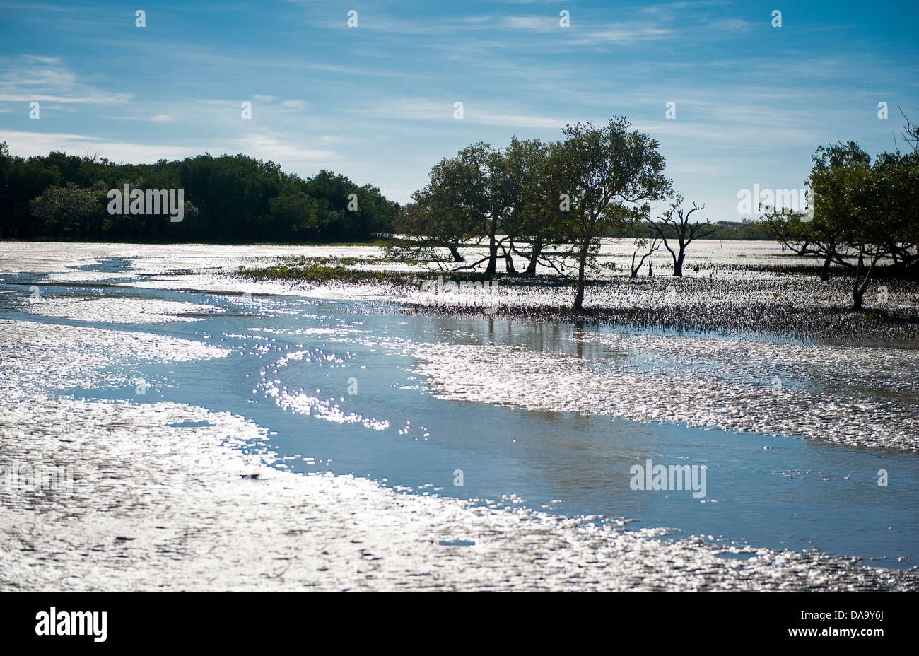 Mangrove mudflats at low tide at One Arm Point, Cape Leveque, Kimberley ...