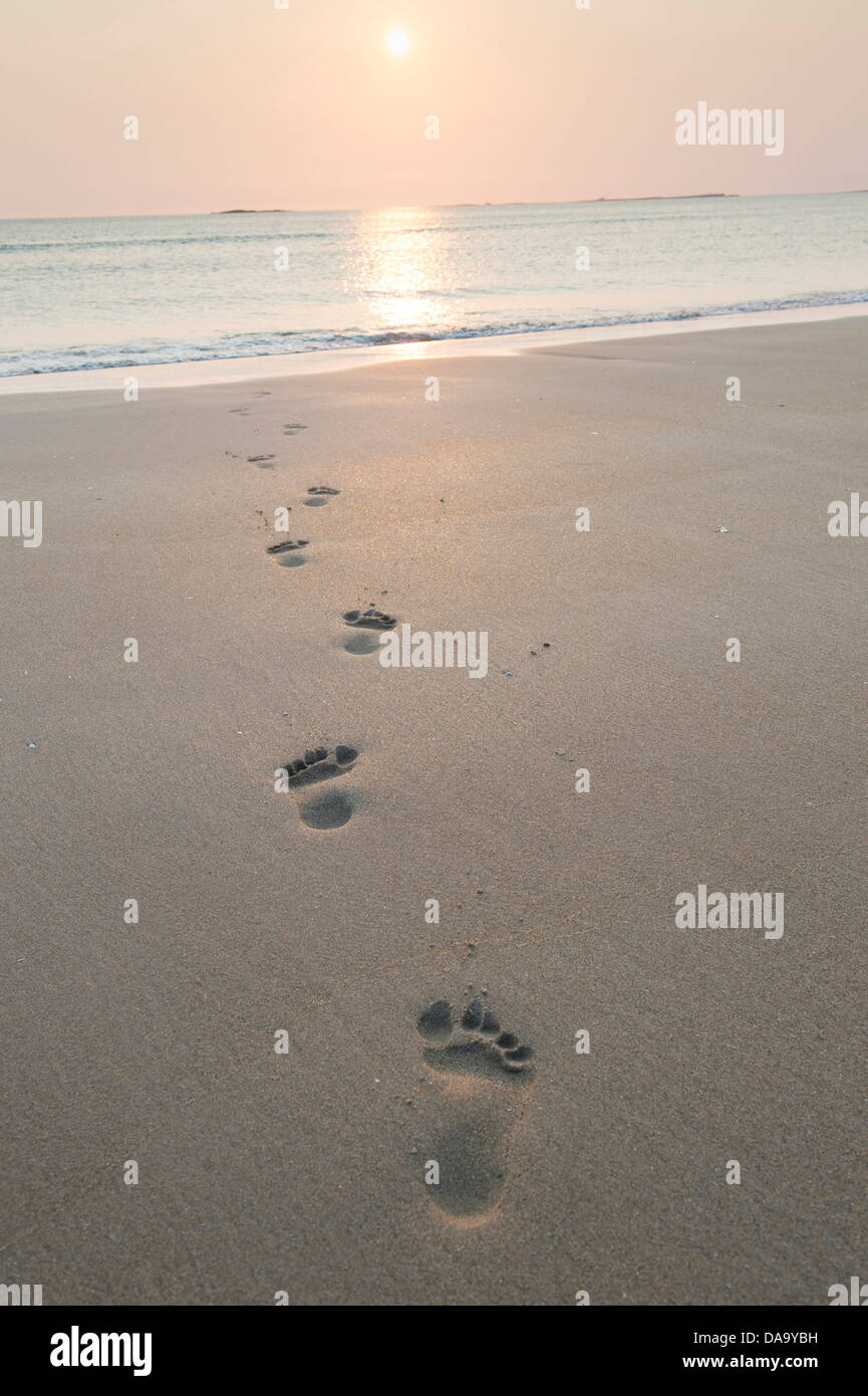 Sea waves seaside beach coastal hi-res stock photography and images - Alamy