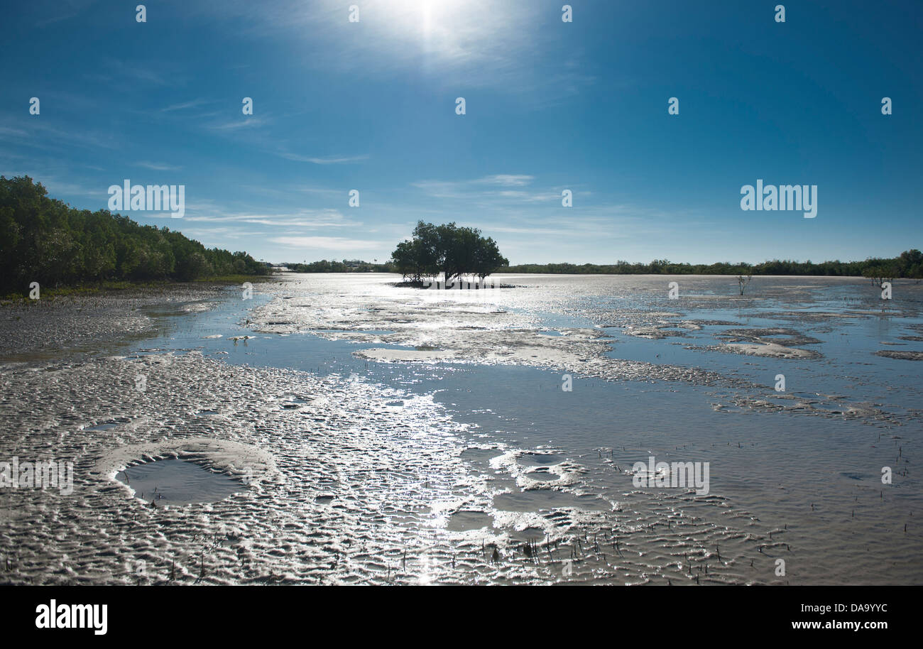 Mangrove mudflats at low tide at One Arm Point, Cape Leveque, Kimberley ...