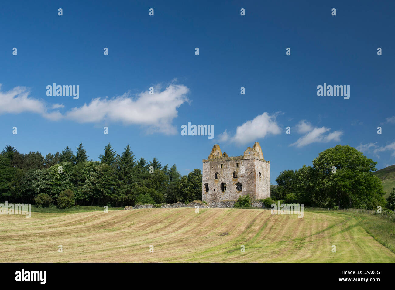 Newark tower. Bowhill House estate, Selkirkshire. Scotland Stock Photo ...