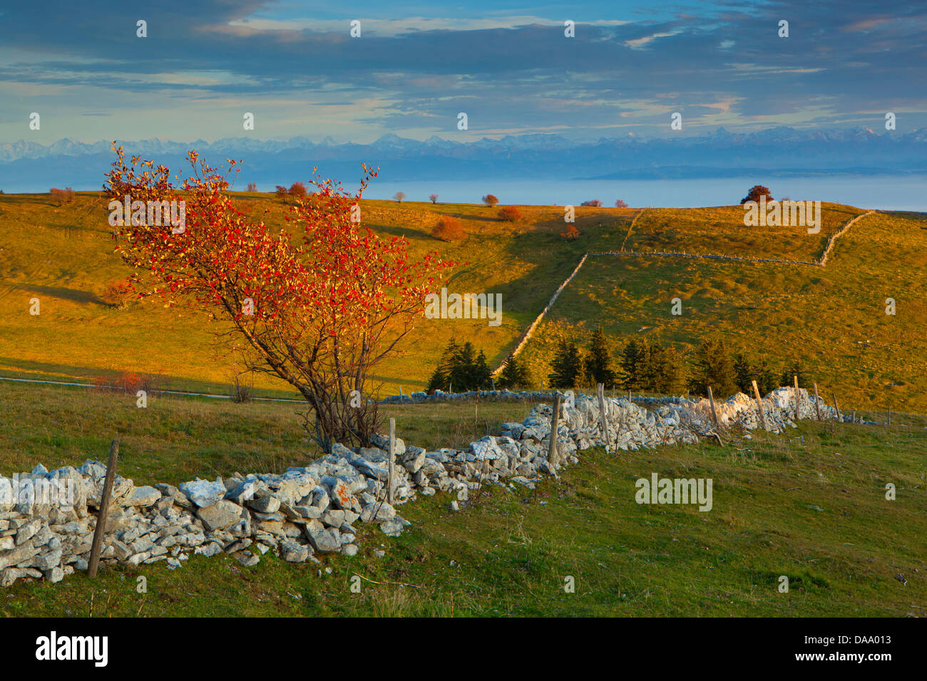 View, Le Soliat, Switzerland, Europe, canton, Neuenburg, view point ...