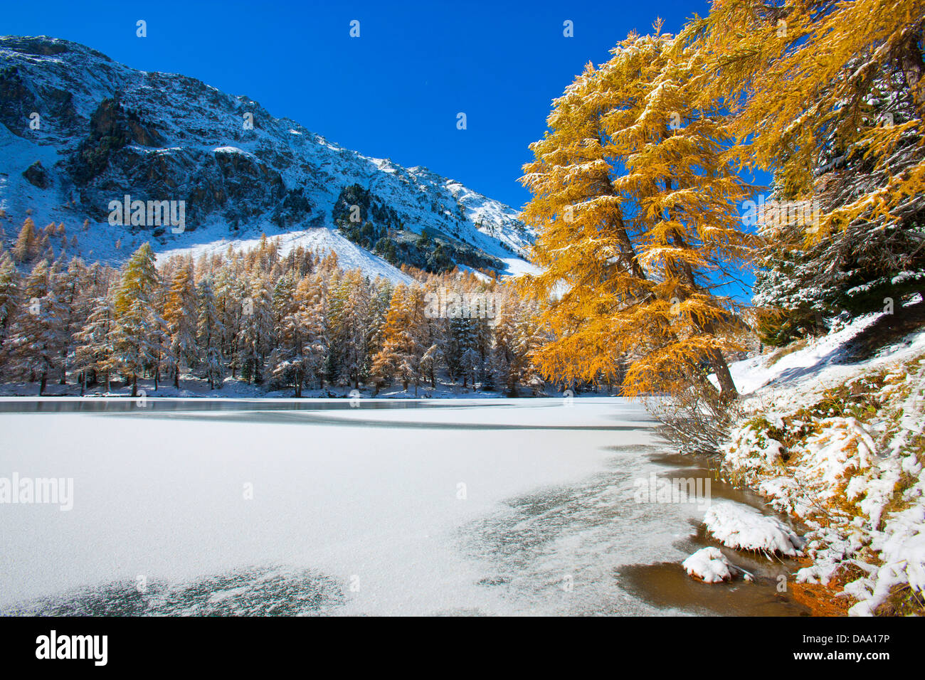 Palpuogna, lake, Switzerland, Europe, canton, Graubünden, Grisons ...
