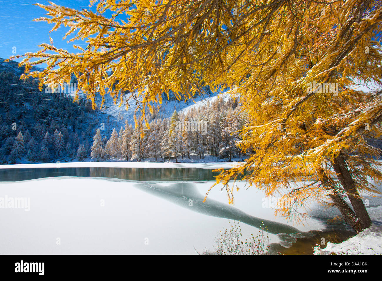 Palpuogna, lake, Switzerland, Europe, canton, Graubünden, Grisons ...