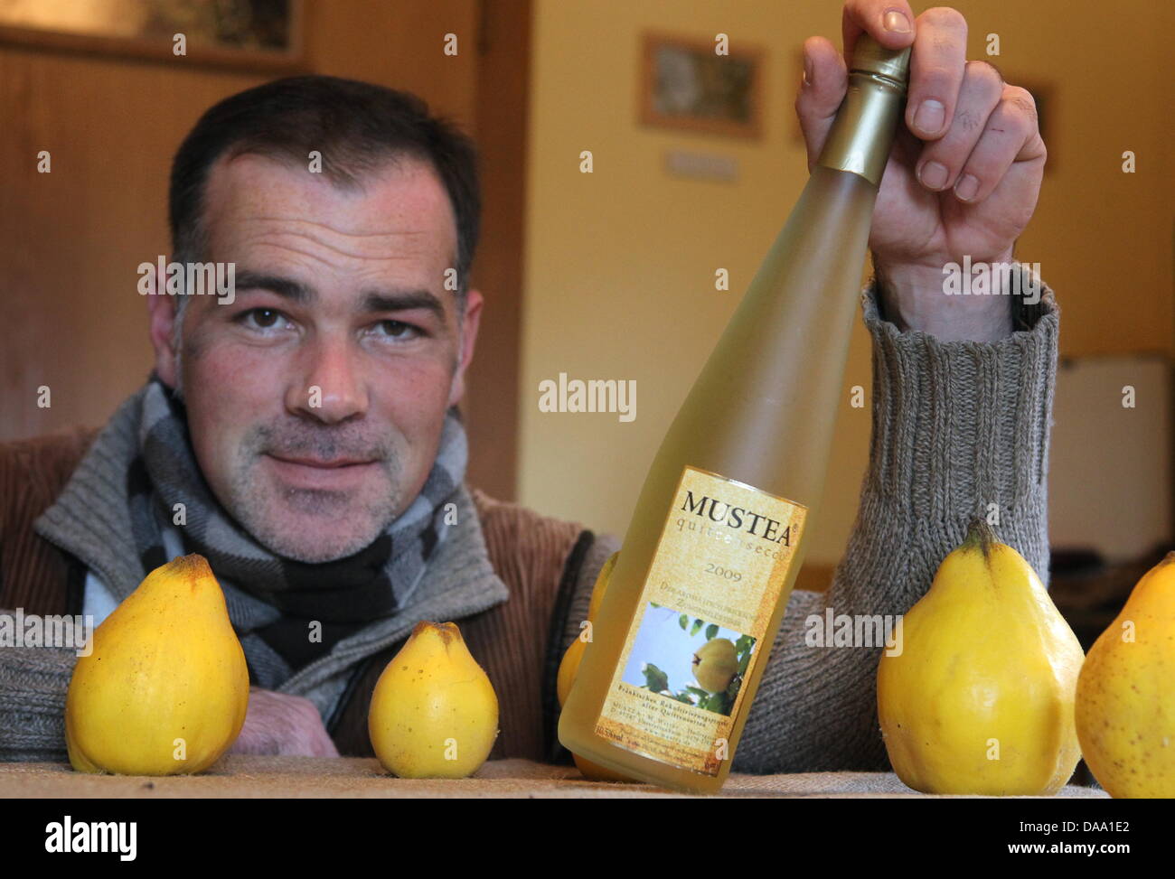 Quince fruit farmer Marius Wittur presents a range of quince fruits and ...