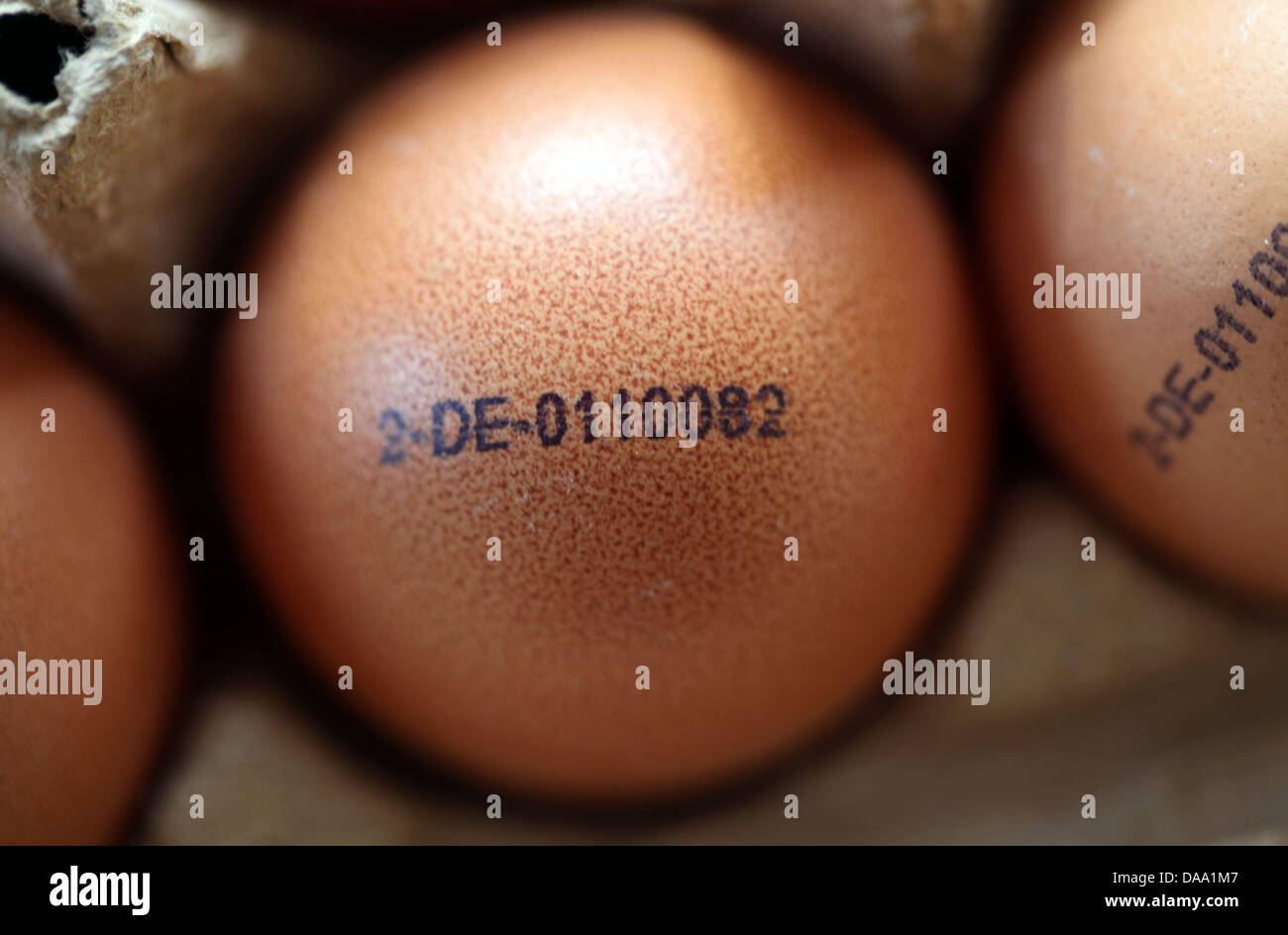 A cage-free egg carries the code number 2 (L) in Schwerin, Germany, 15 ...
