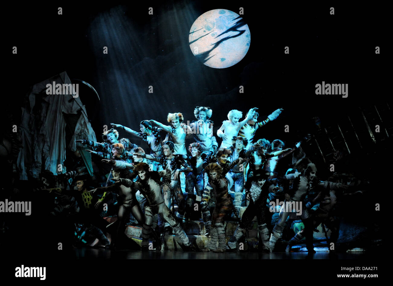 Ensemble cats hi-res stock photography and images - Alamy