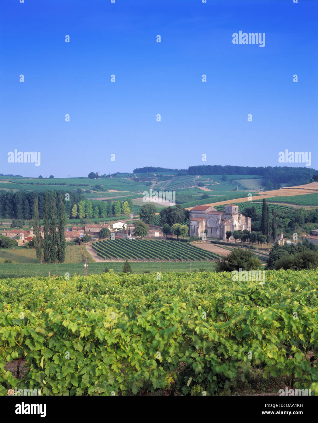 Landscape Cognac region France French Wine Region Stock Photo - Alamy
