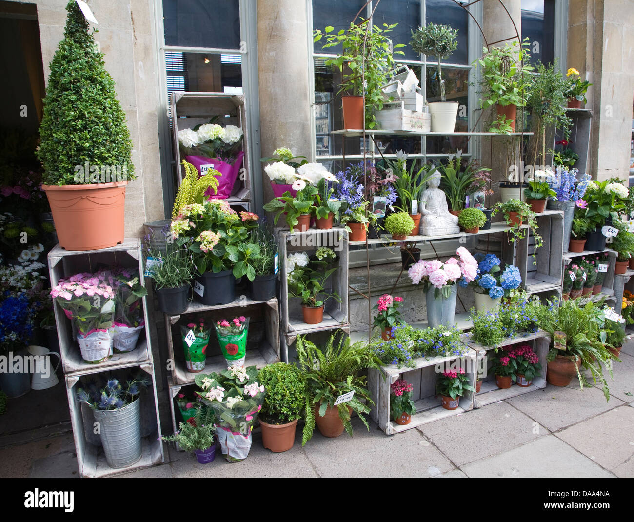 Plants outside garden shop Pulteney Bridge Bath Somerset England Stock ...