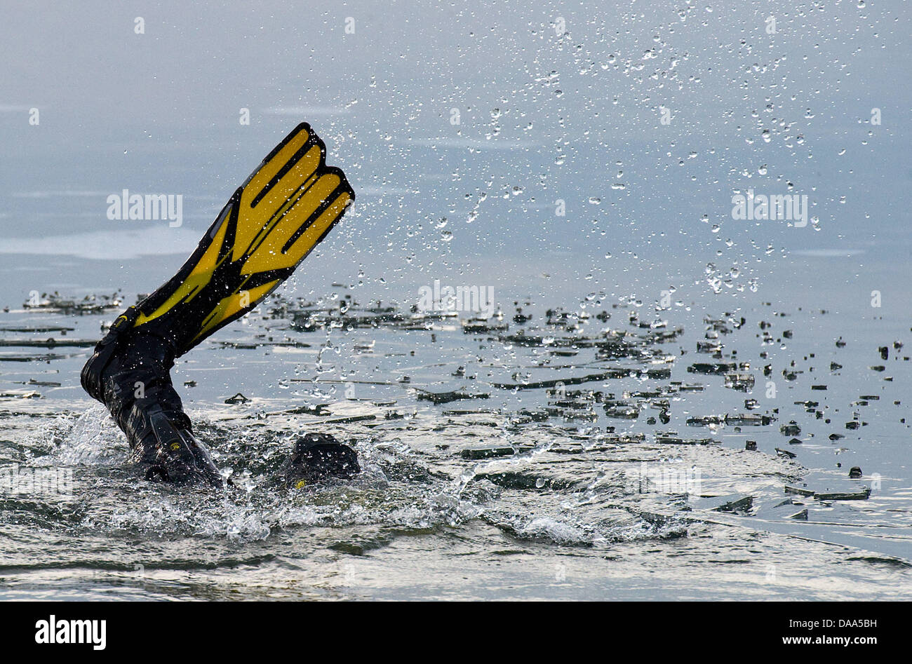 Only the flipper of a diver comes through the surface of the water ...