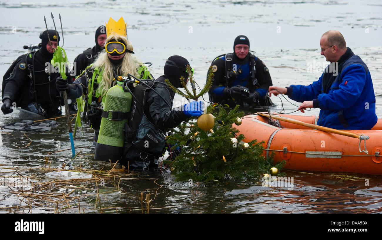 Divers dive into the only 2 degrees cold water with a glowing christmas ...