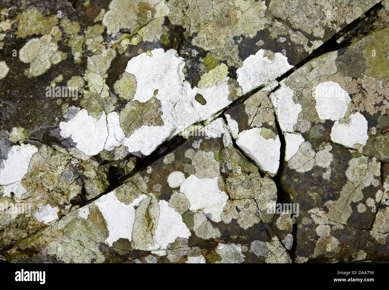 Accidental patterns hi-res stock photography and images - Alamy