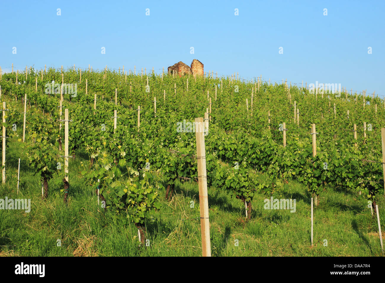 Traditional vineyard buildings hi-res stock photography and images - Alamy