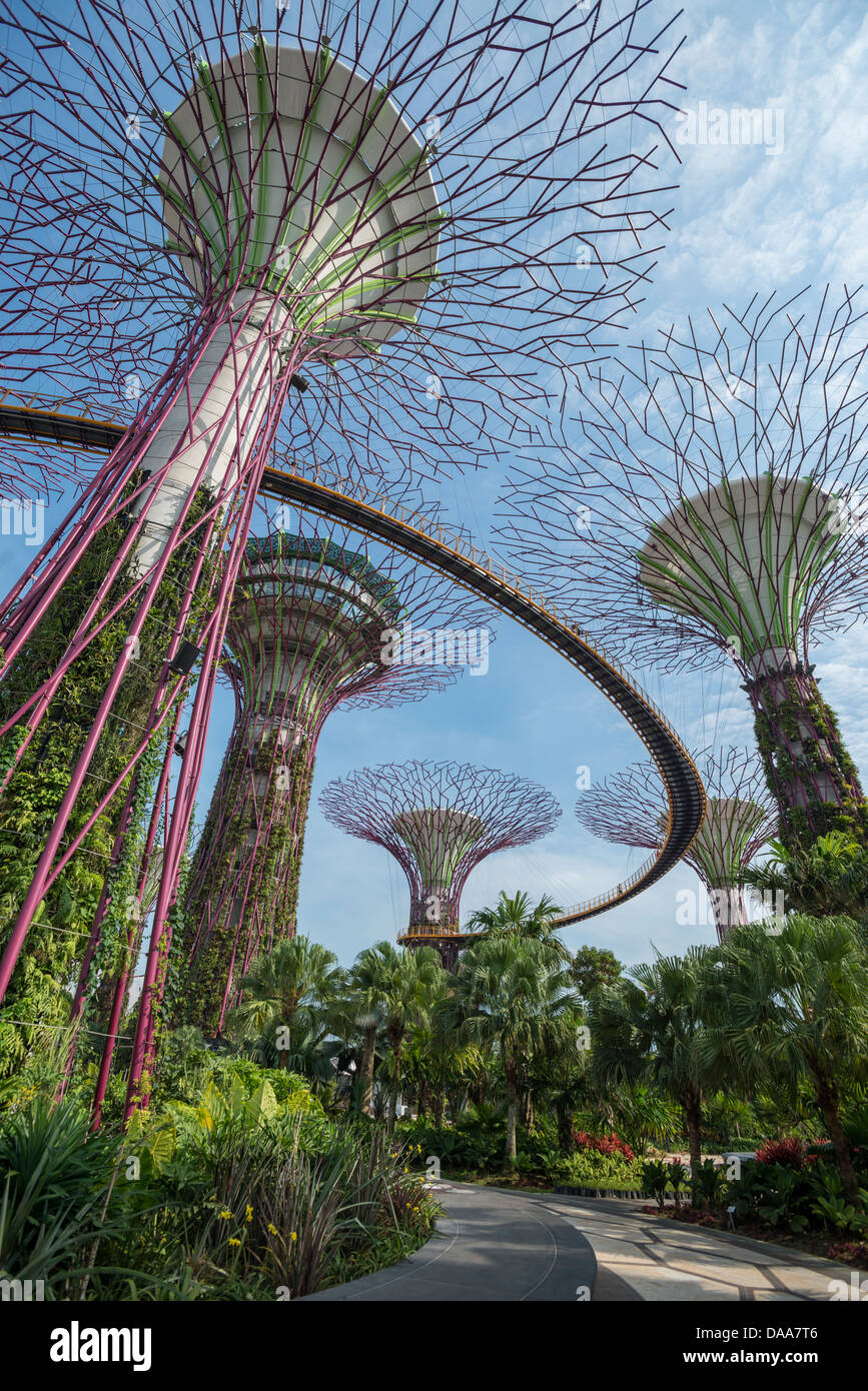 Supertree Grove at the Gardens by the Bay, Singapore Stock Photo - Alamy
