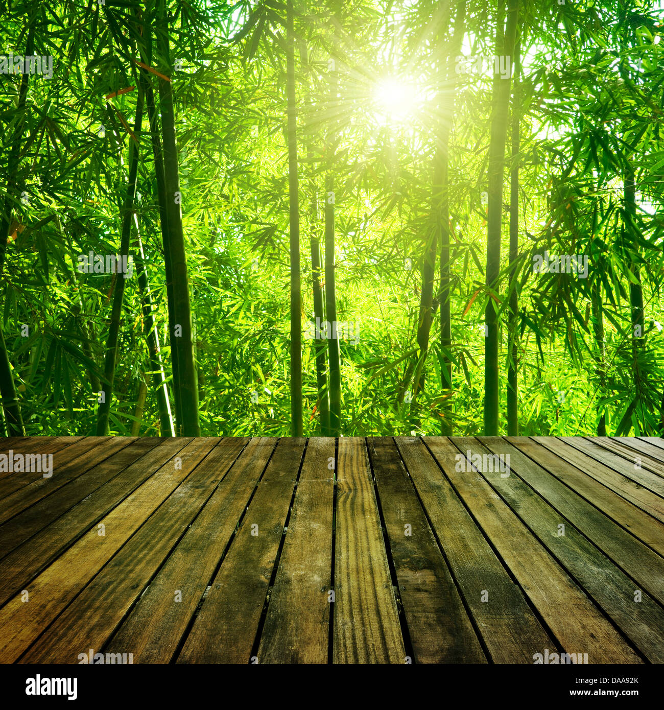 Wooden platform and Asian Bamboo forest with morning sunlight Stock ...