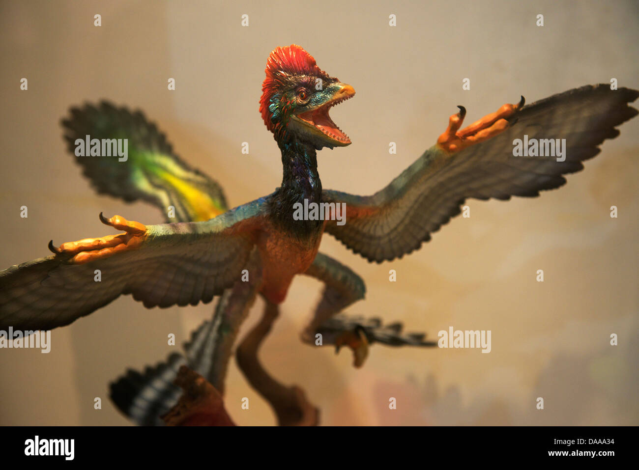 Anchiornis huxleyi hi-res stock photography and images - Alamy