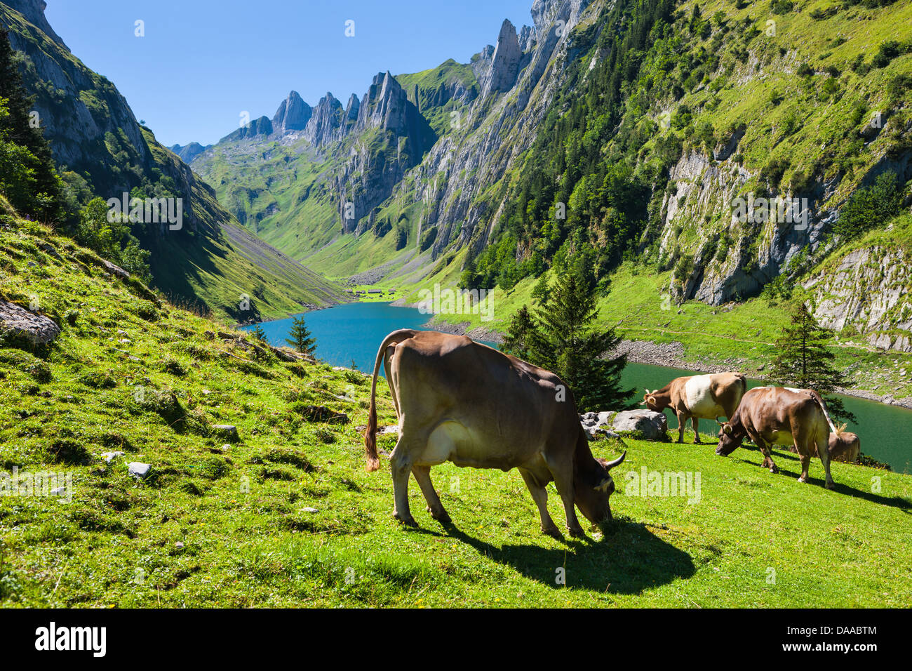 Falensee switzerland hi-res stock photography and images - Alamy