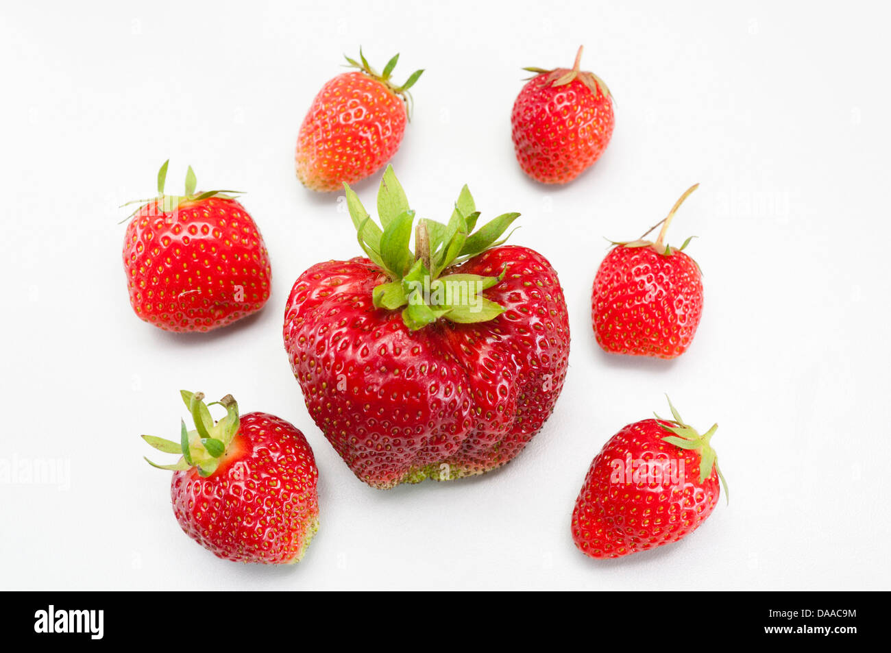 Big Strawberry and strawberries Stock Photo - Alamy