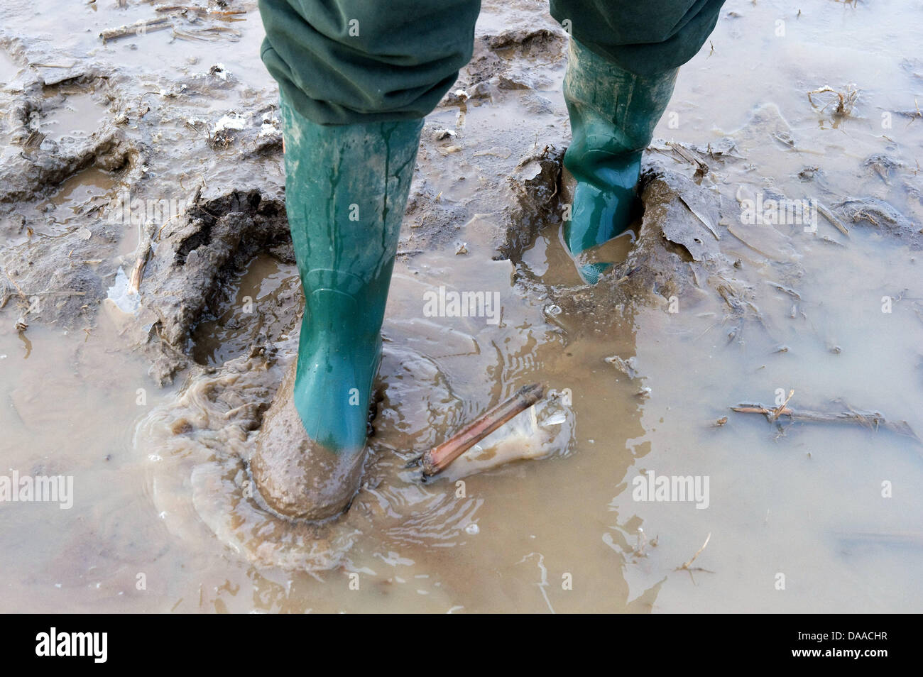 Rubber boots for the flood hi-res stock photography and images - Alamy