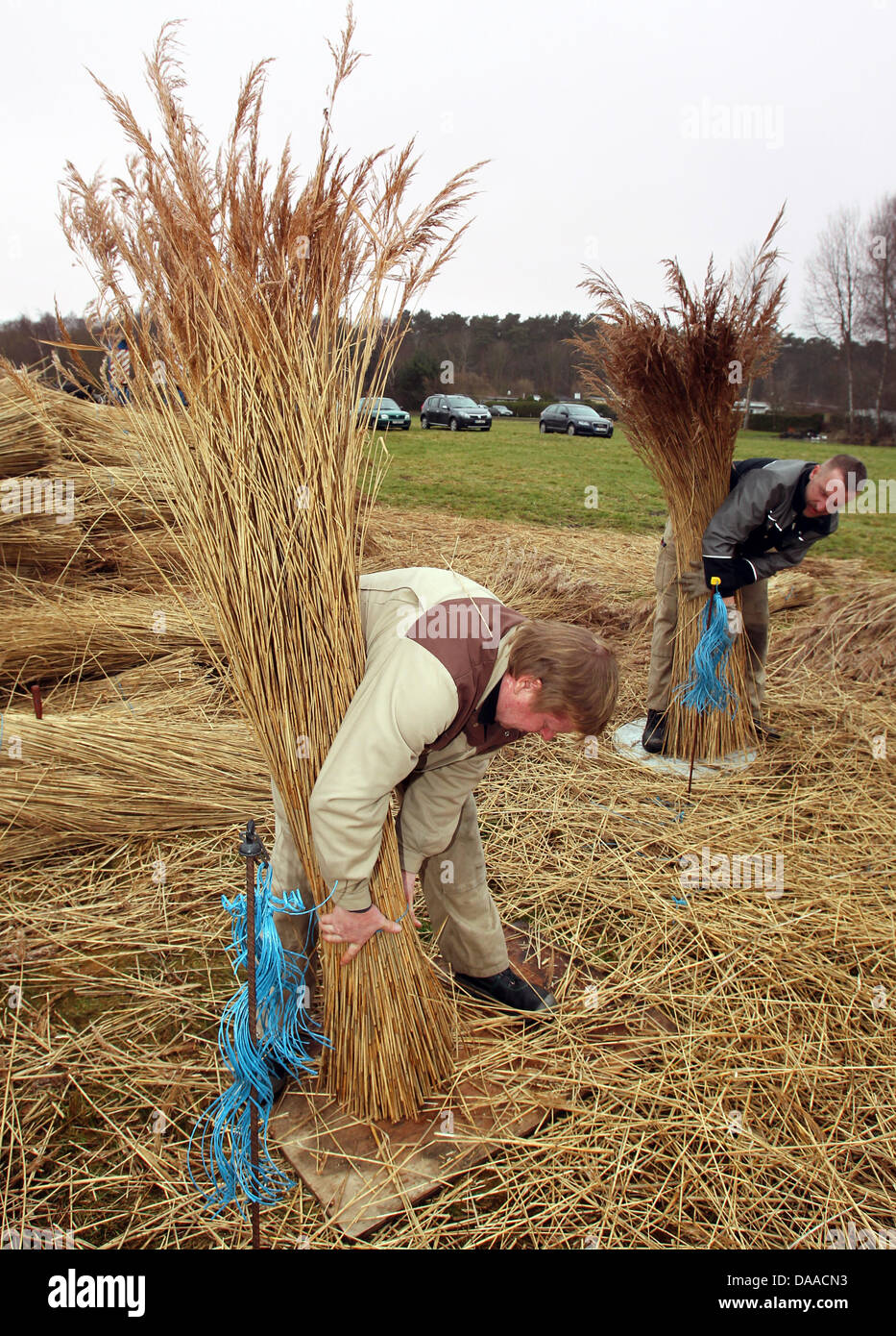 Harvest before the rain hi-res stock photography and images - Alamy