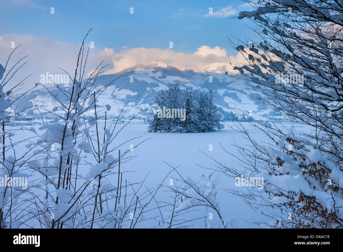 Lauerzersee, Switzerland, Europe, canton, Schwyz, lake, island, isle ...