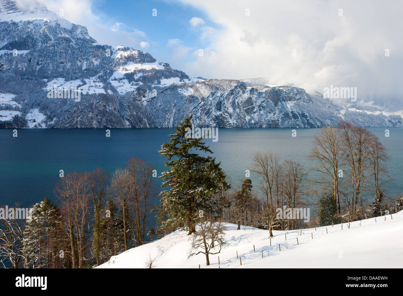 Lake Uri, Switzerland, Europe, canton, Uri, lake, Vierwaldstättersee ...