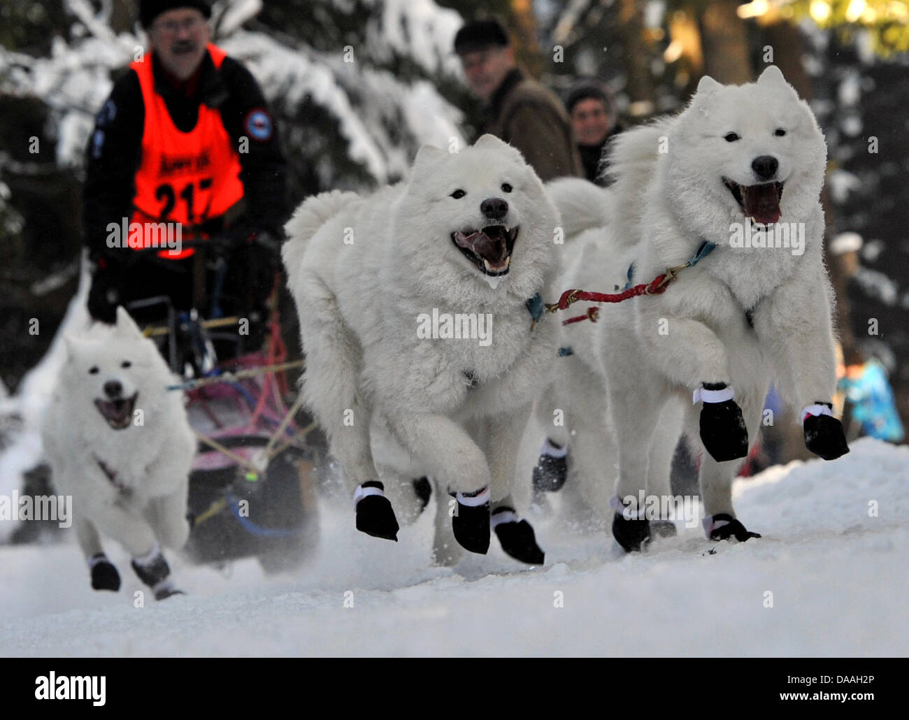 Schmidt weiss hi-res stock photography and images - Alamy
