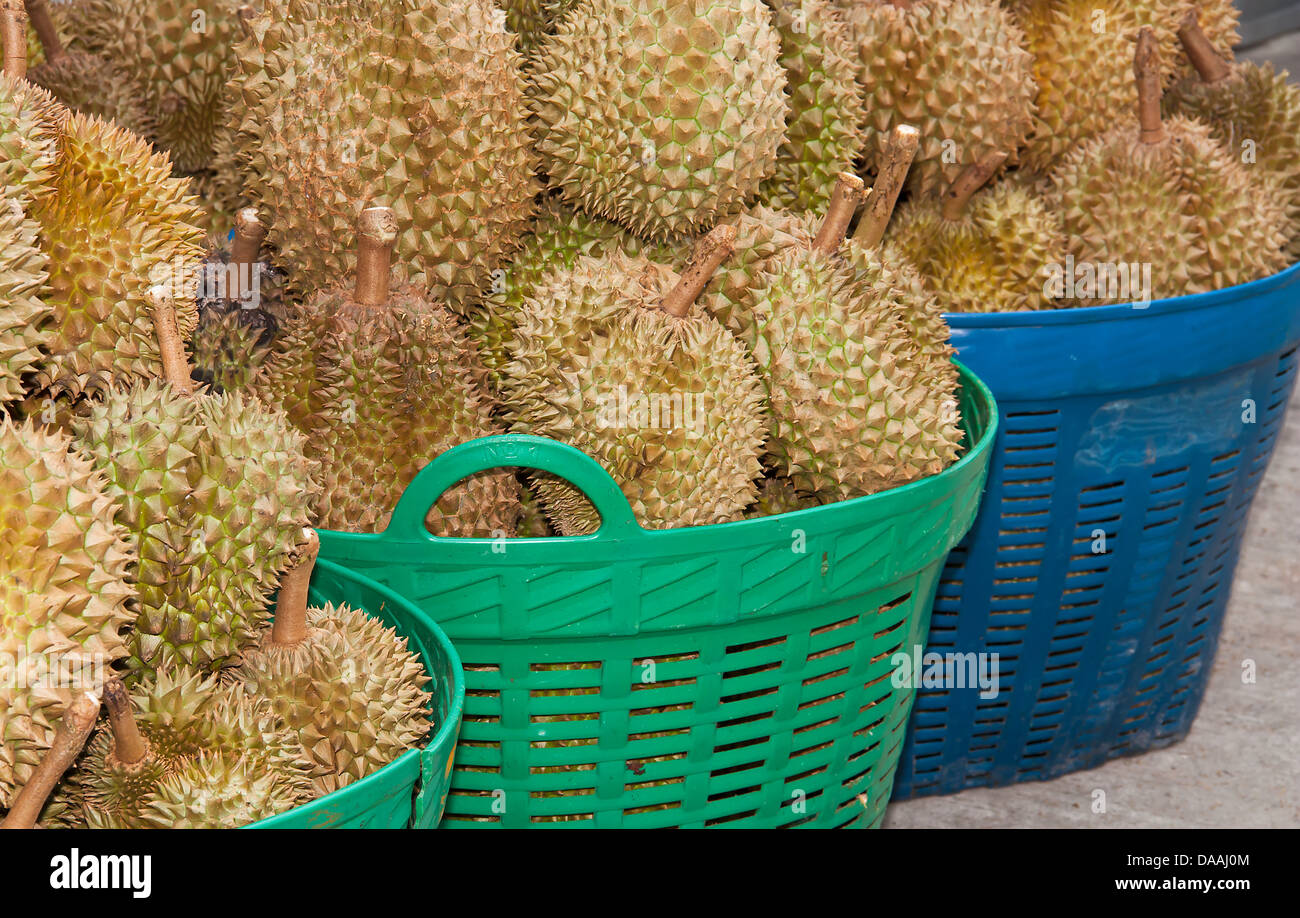 Durian seed hi-res stock photography and images - Alamy