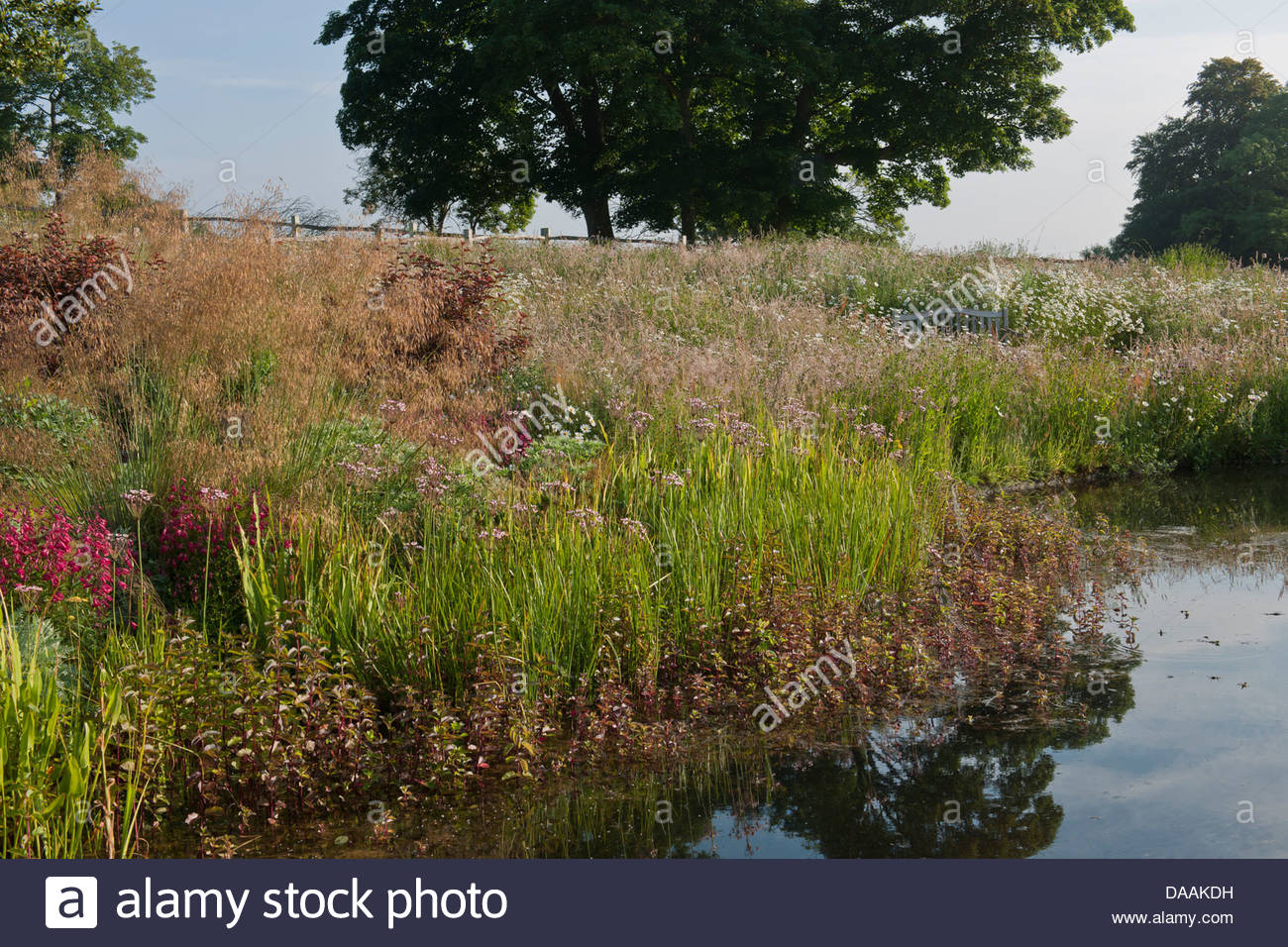 Marginal Stock Photos & Marginal Stock Images - Alamy
