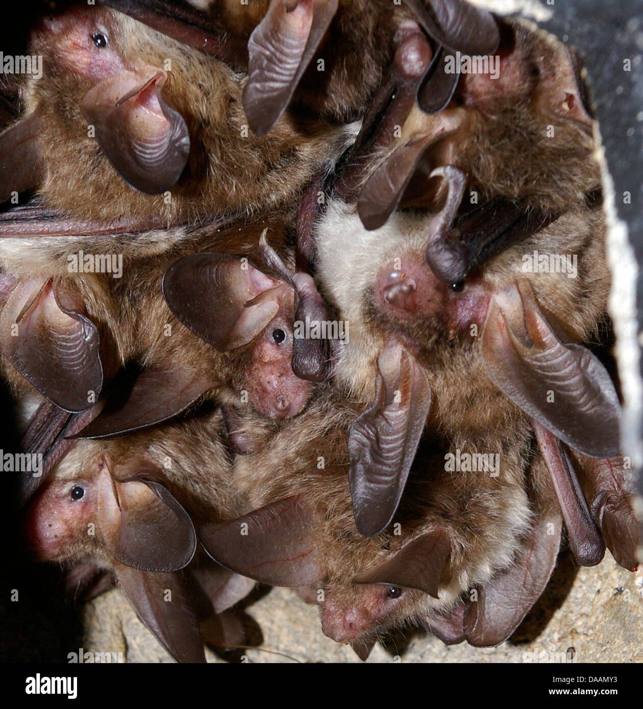 Changing behaviour hi-res stock photography and images - Alamy