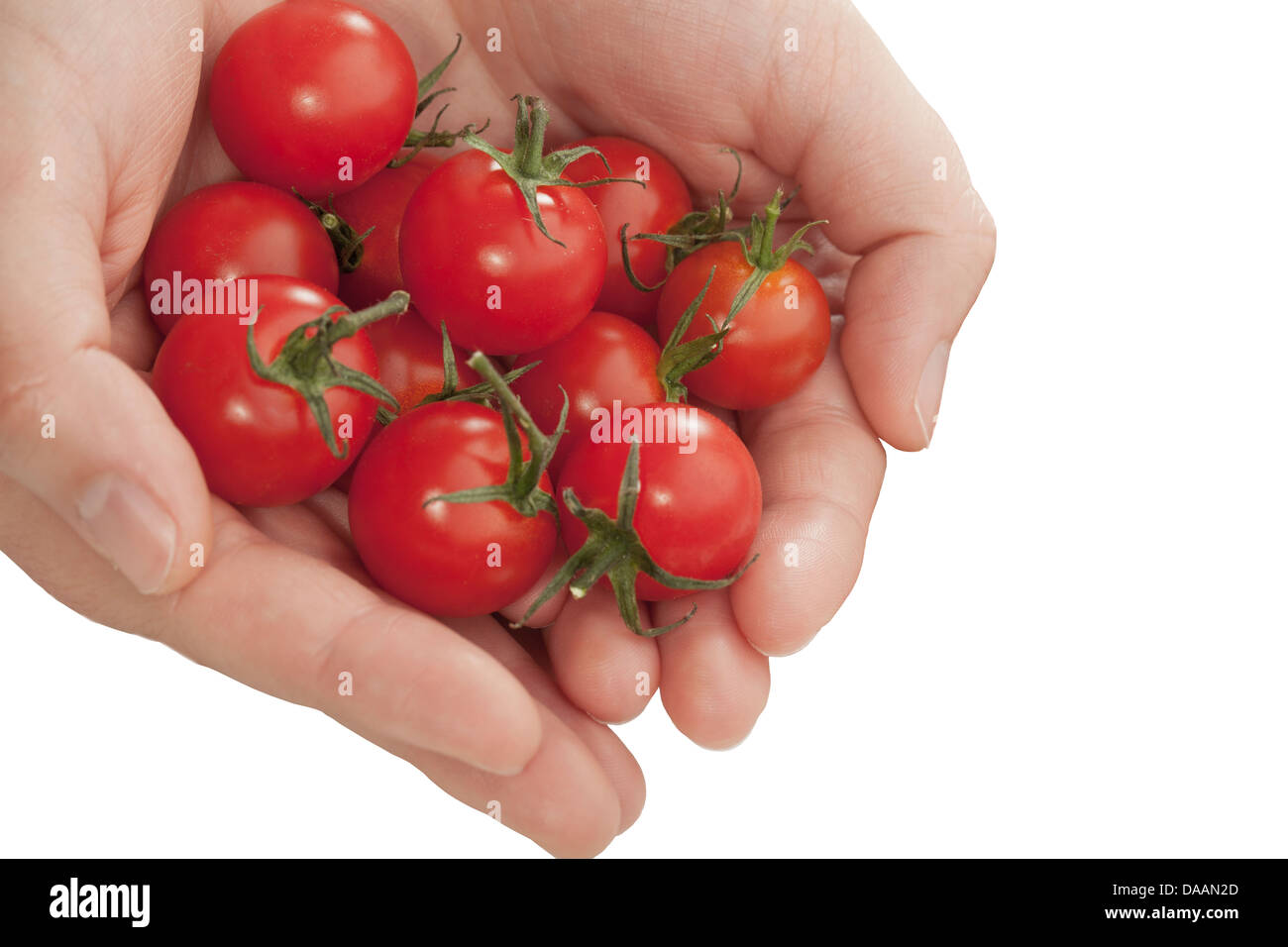 Women with a handful of vine tomatoes Stock Photo - Alamy