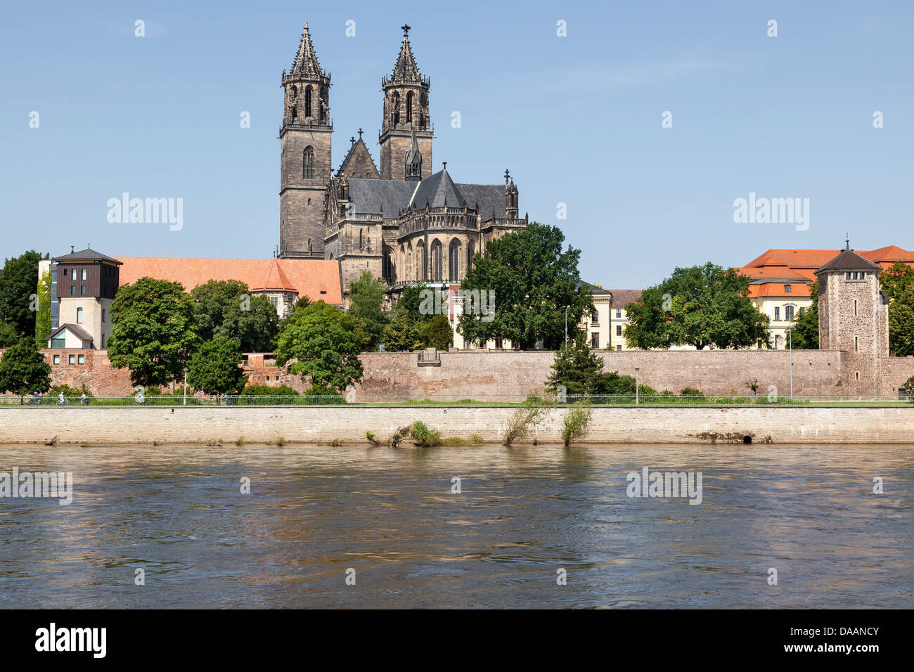 River Elbe with the Cathedral and Fürstenwall, Magdeburg, Saxony Anhalt ...