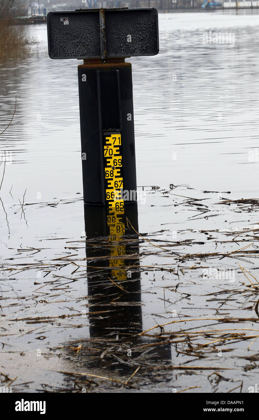 Flood water level of Elbe river has risen to 6.50 metres in Boizenburg ...