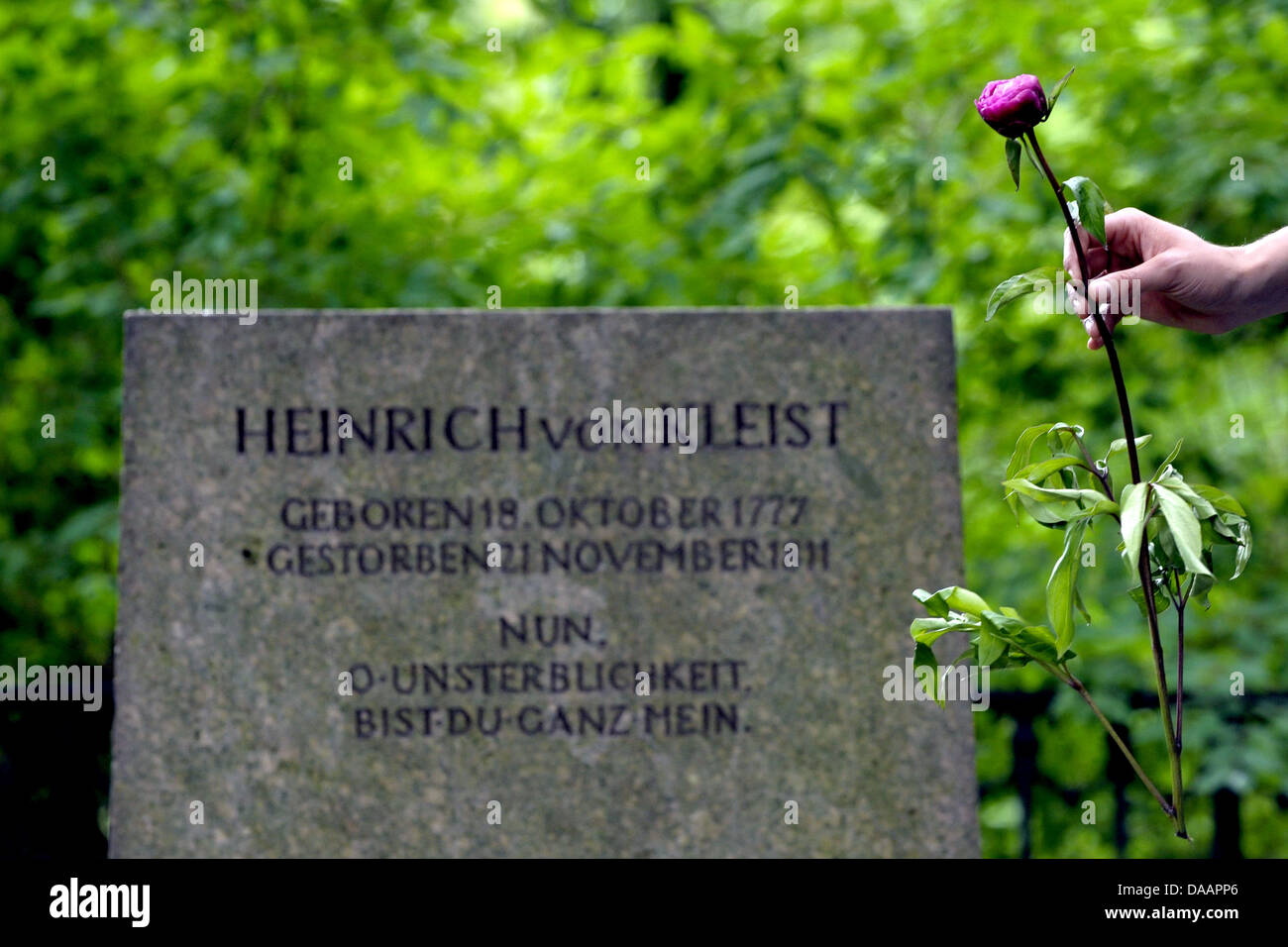 Heinrich rose hi-res stock photography and images - Alamy