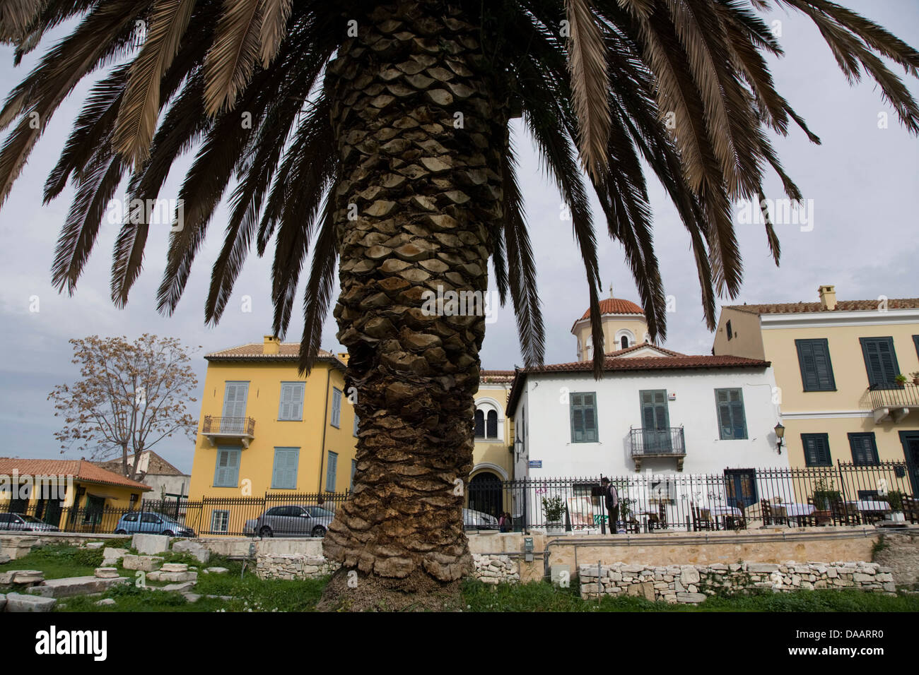 Palm tree in the Roman Agora in central Athens, Greece Stock Photo - Alamy