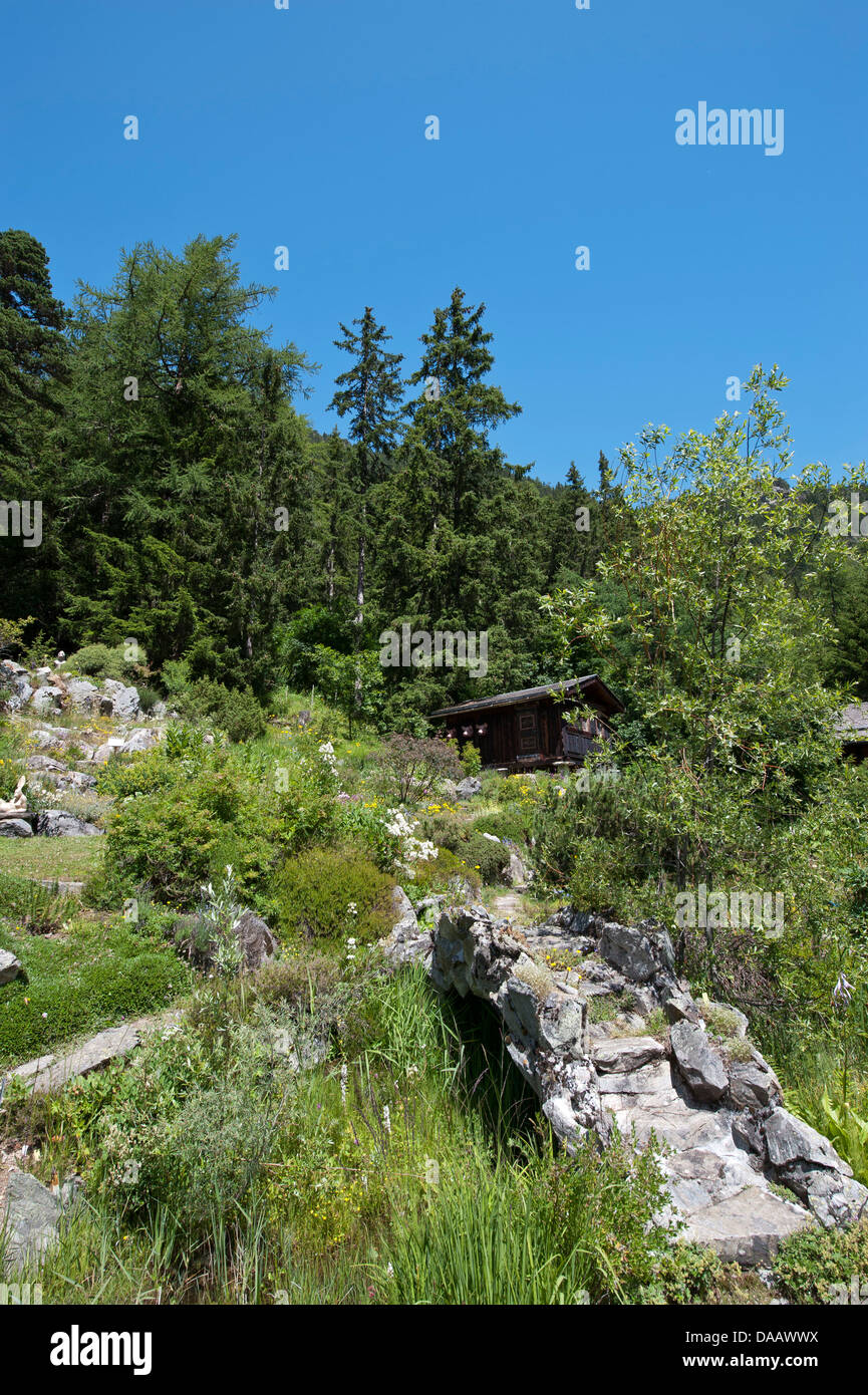 Valais, Champex, alpine, Switzerland, Alpine garden, botany, botanical ...