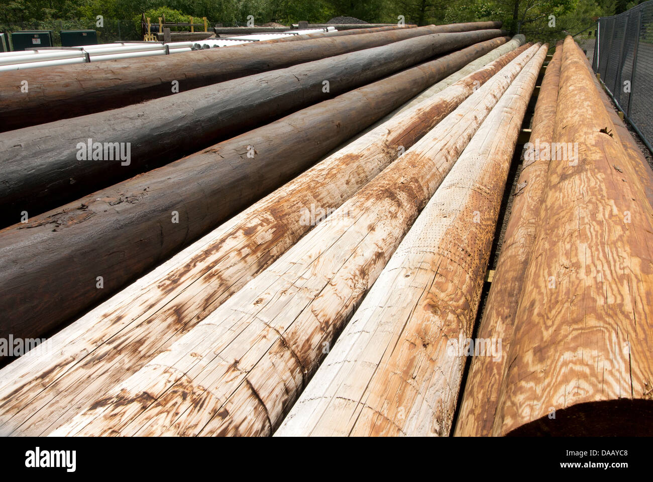 Municipal storage yard for telephone poles Stock Photo - Alamy