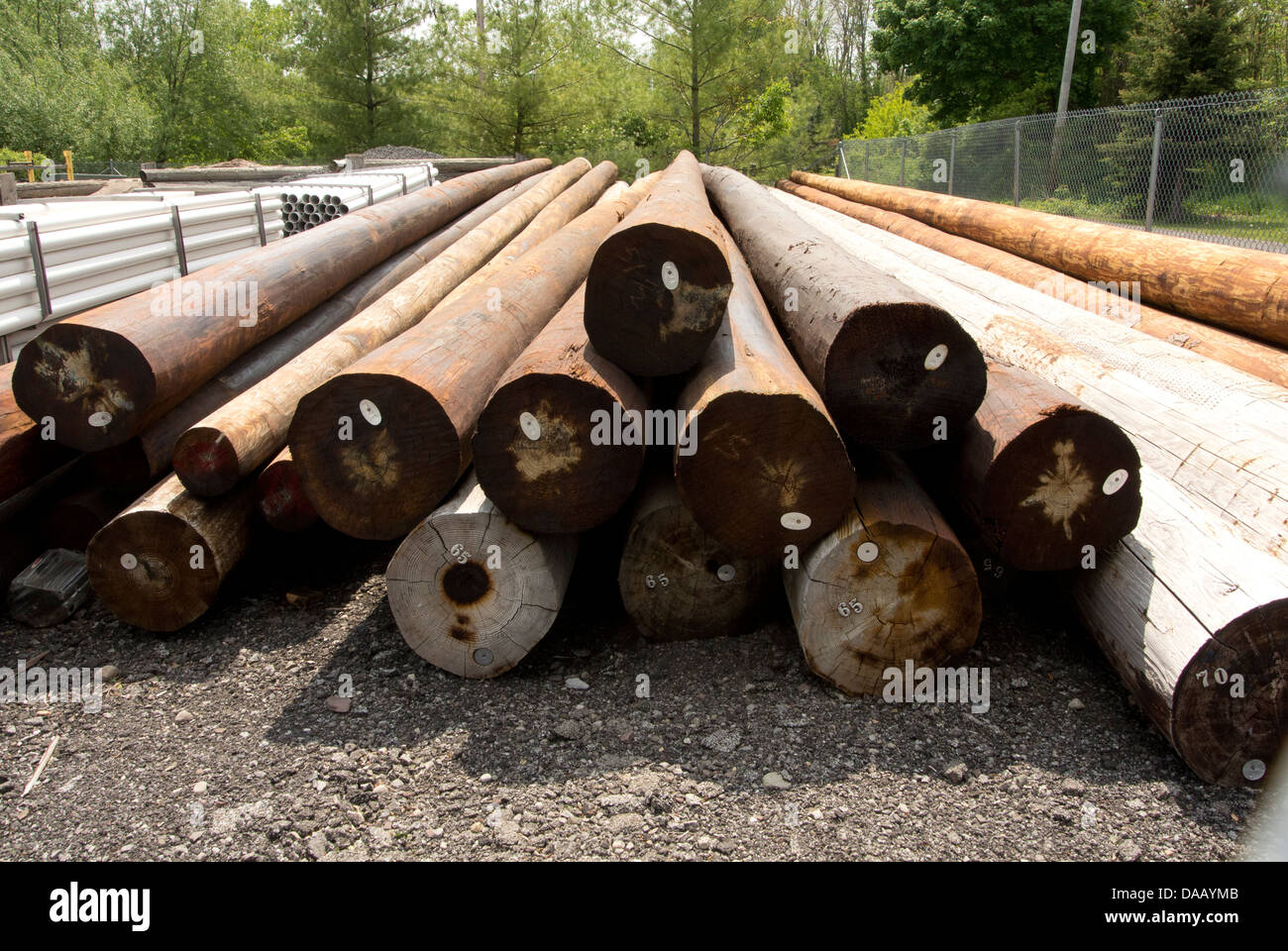 Telephone poles hi-res stock photography and images - Alamy