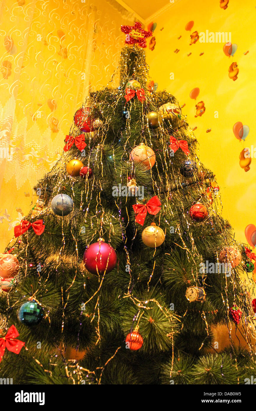 Fur tree cones hi-res stock photography and images - Alamy