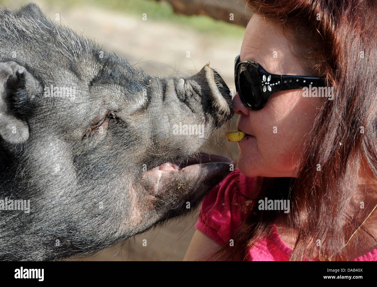 Lucy cute hi-res stock photography and images - Alamy