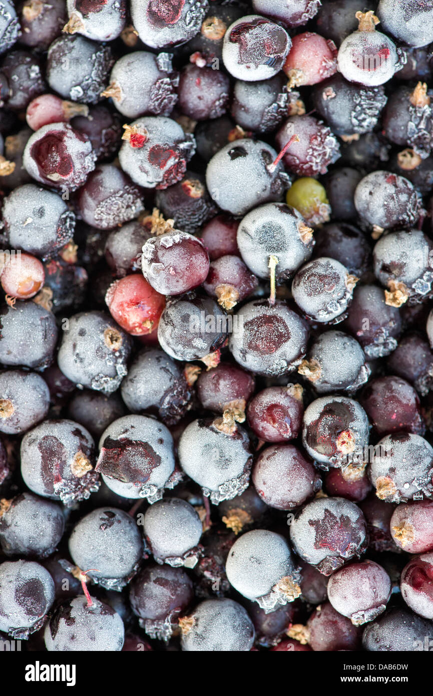 Frozen fruits hi-res stock photography and images - Alamy