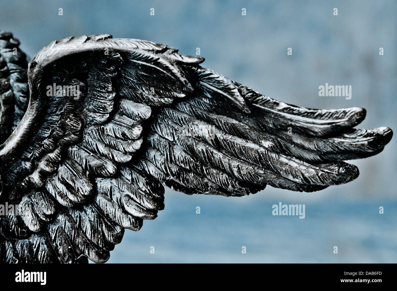 Angel wing hi-res stock photography and images - Alamy