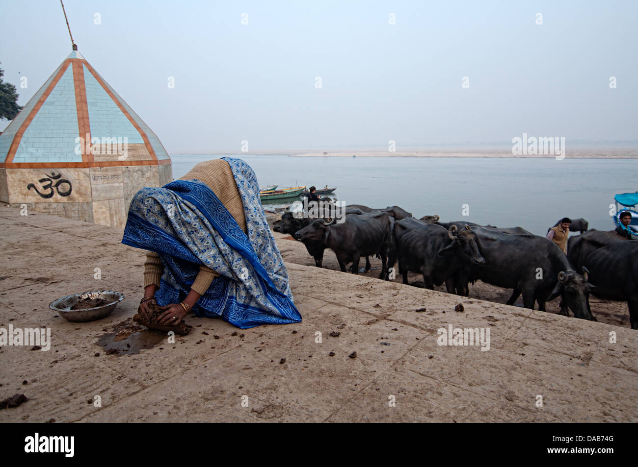 Woman making cow dung cakes used as cooking fuel. Varanasi, Benares ...