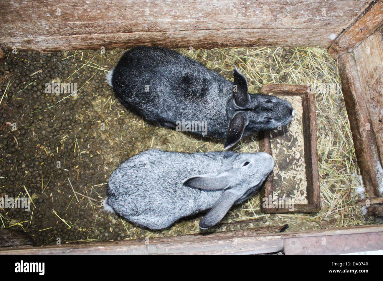 Nice pair hi-res stock photography and images - Alamy