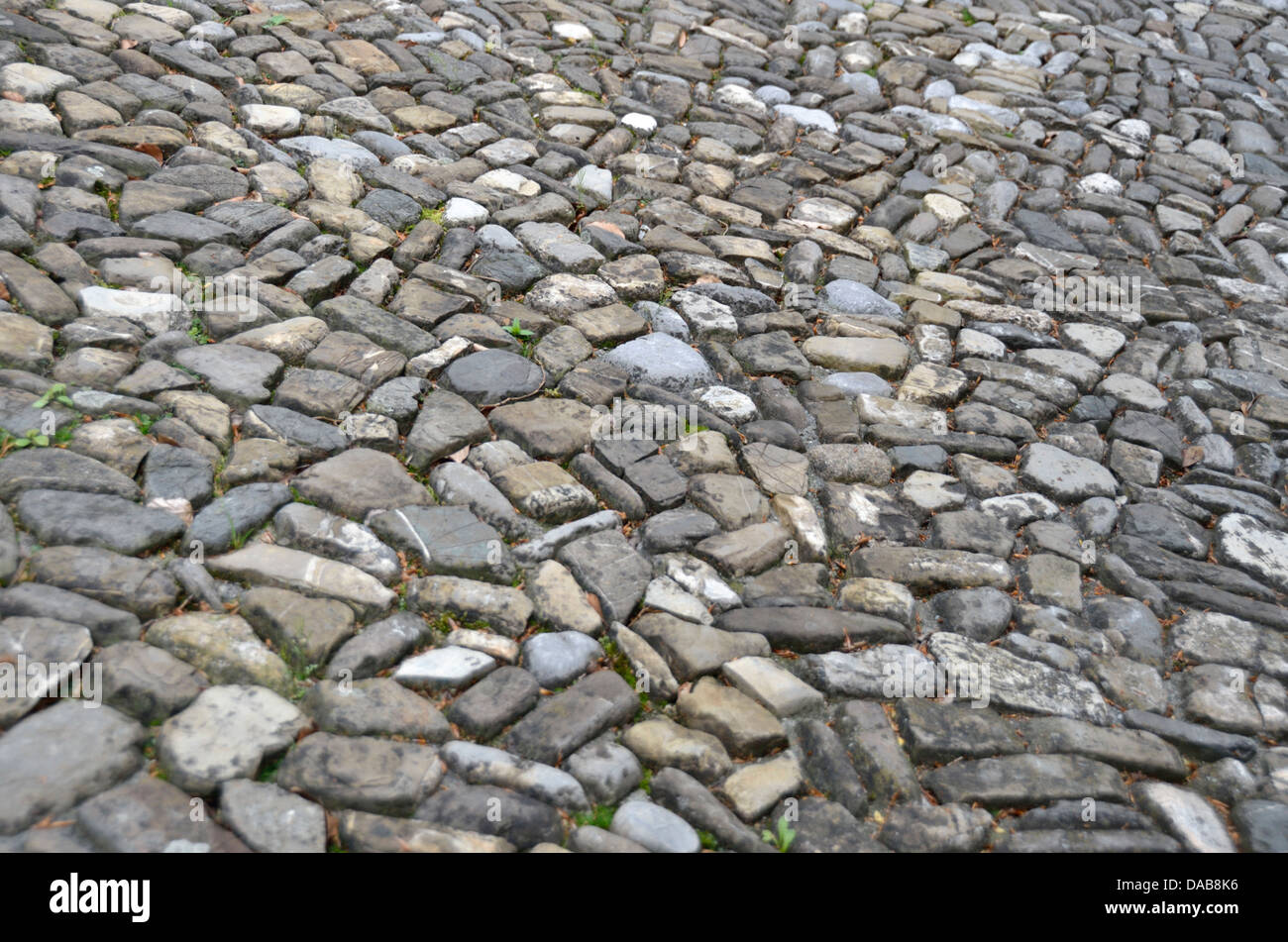 Irregular shaped cobblestones on a pavement Stock Photo - Alamy