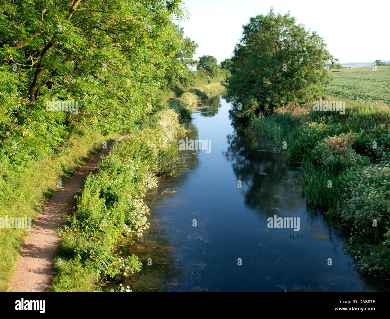 Towpath of The Grand Western Canal near Sampford Peverell, Devon. UK ...
