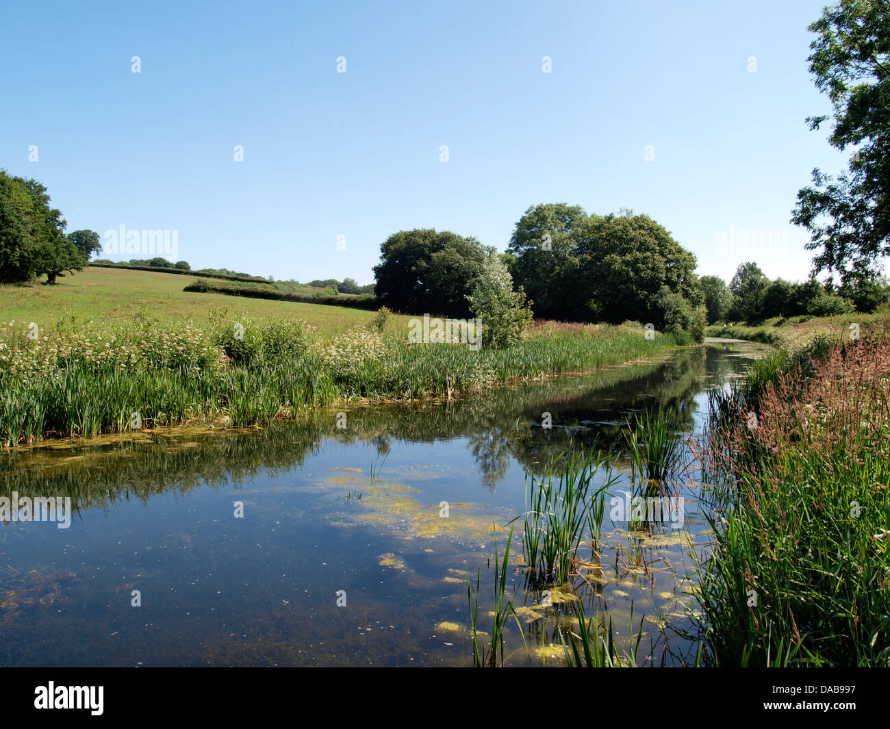 Countryside along The Grand Western Canal, Sampford Peverell, Devon, UK ...