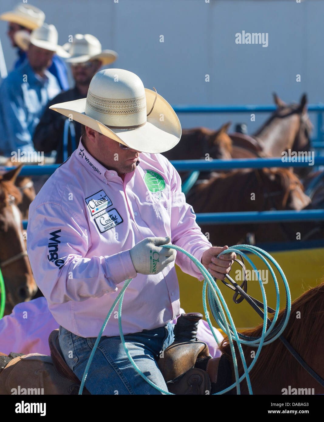 Cowboy Participant at the Helldorado Days Professional Rodeo in Las ...